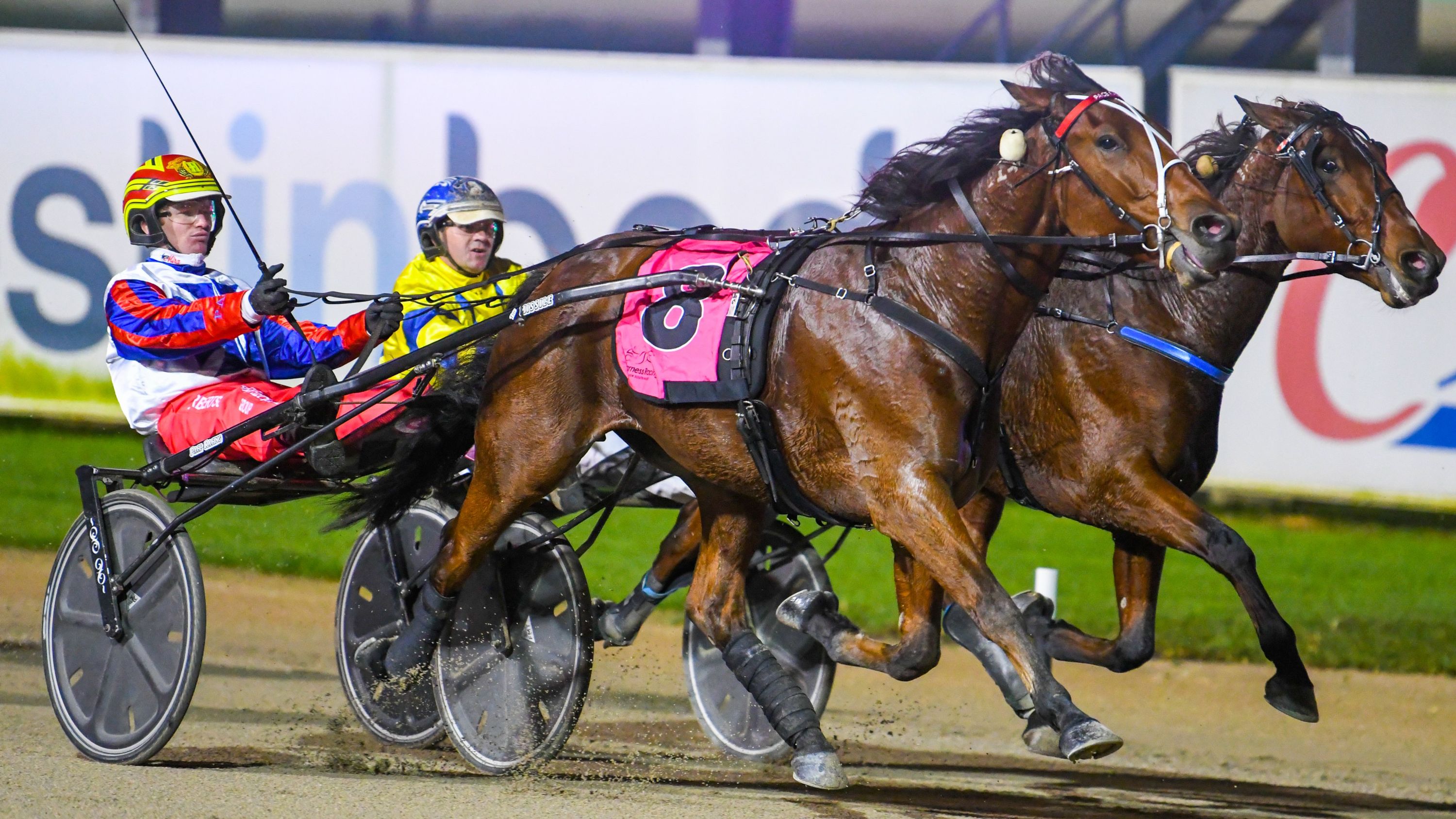 Trotter ready to stamp his authority - Harnesslink